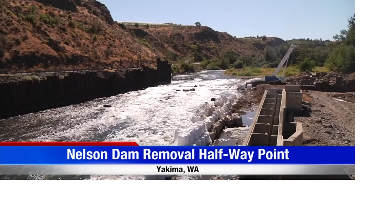 Nelson Dam Removal and Replacement Project hit halfway point | Yakima ...