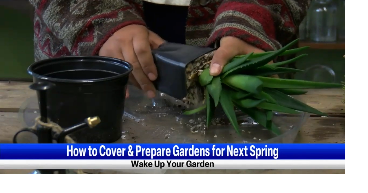 Wake Up Your Garden: Preparing gardens now for next spring | Top Video ...