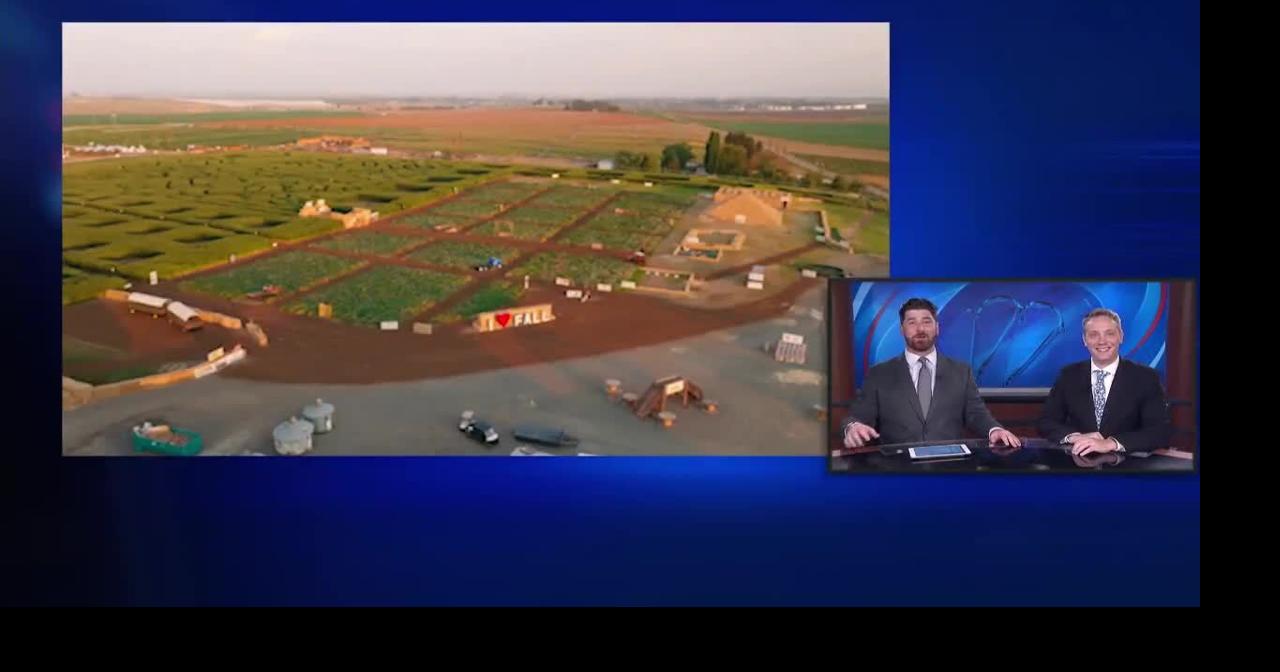 Middleton Farms unveils LEGO-themed corn maze for 2025 | Where We Come ...