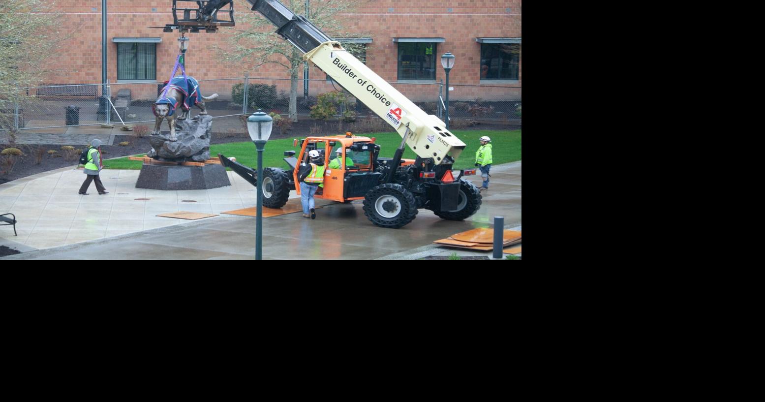 Butch the Cougar sculptures make their way across Washington | Regional ...