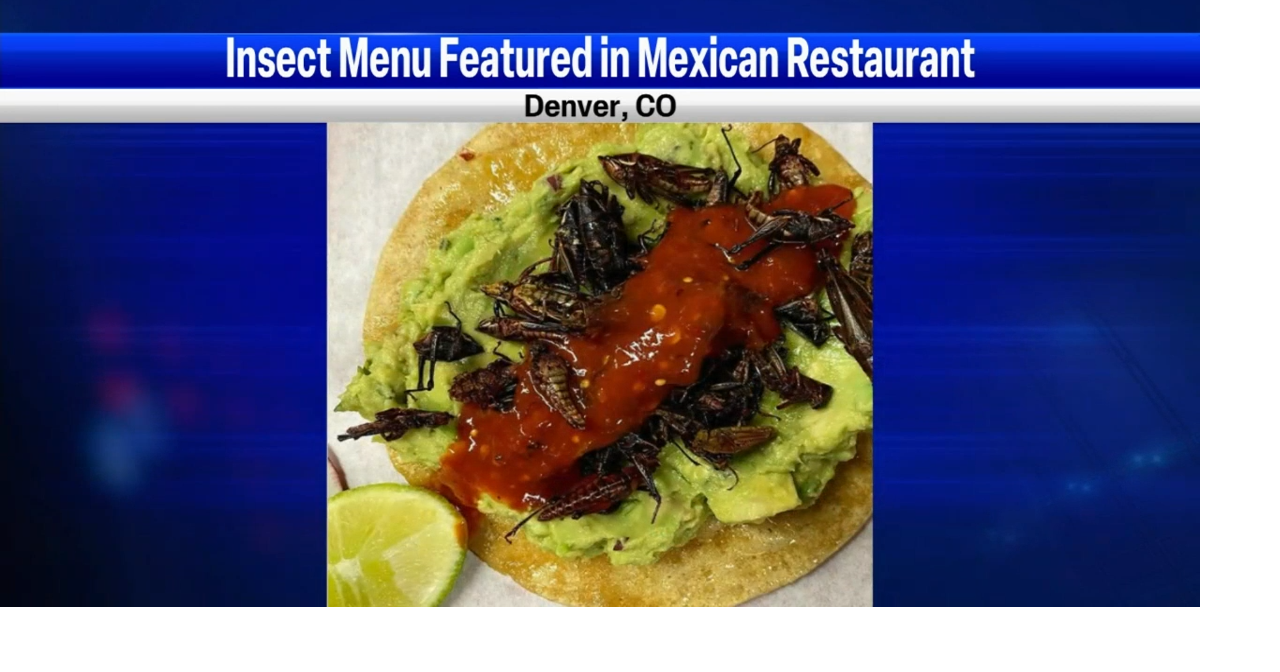 What's Trending: Scorpion tamales and grasshopper tacos | Top Video ...