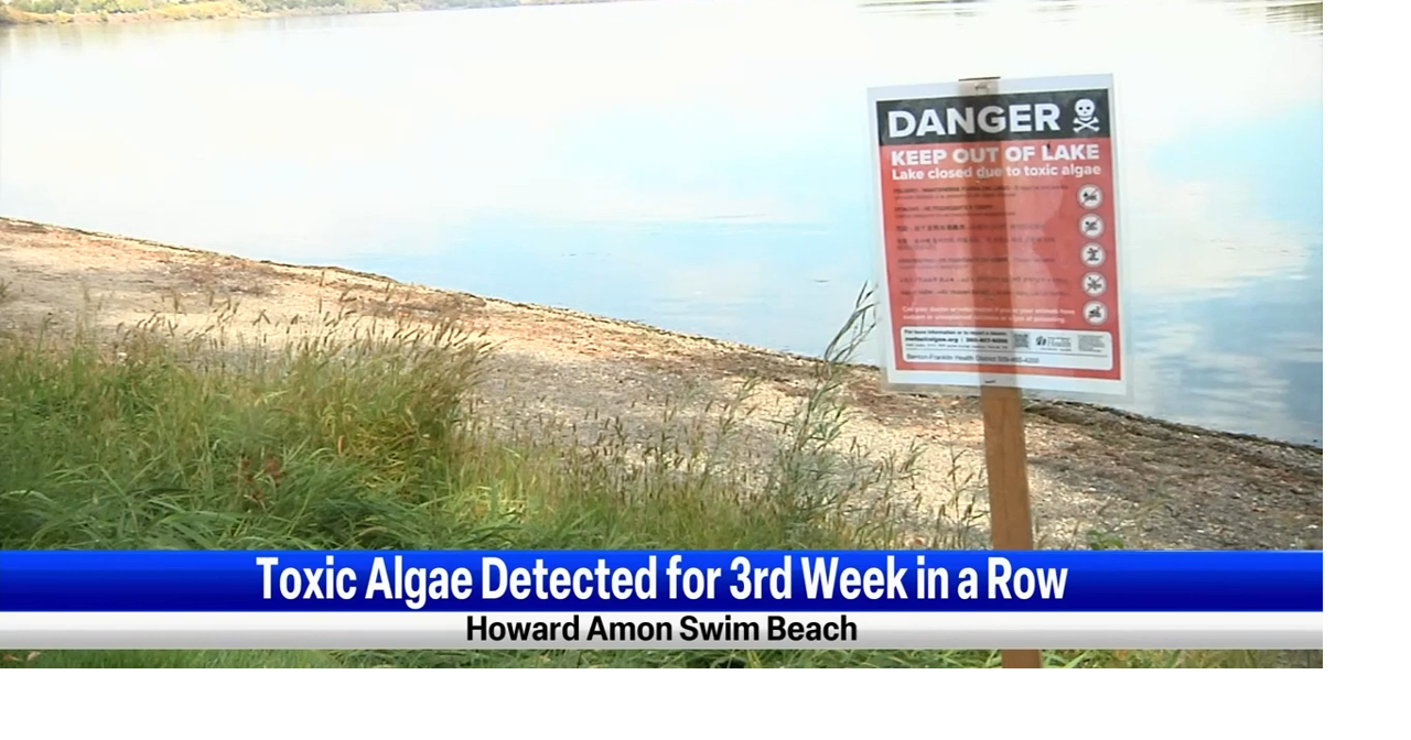 Toxic algae at Howard Amon Park changes Labor Day plans for people ...