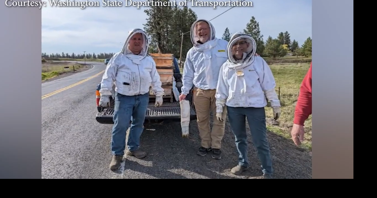 Beehive spill on highway near Medical Lake | Regional | nbcrightnow.com