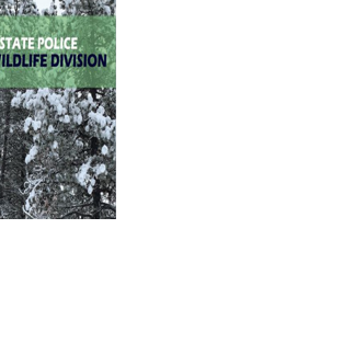 Oregon State Police looking for Umatilla County elk poachers | News ...