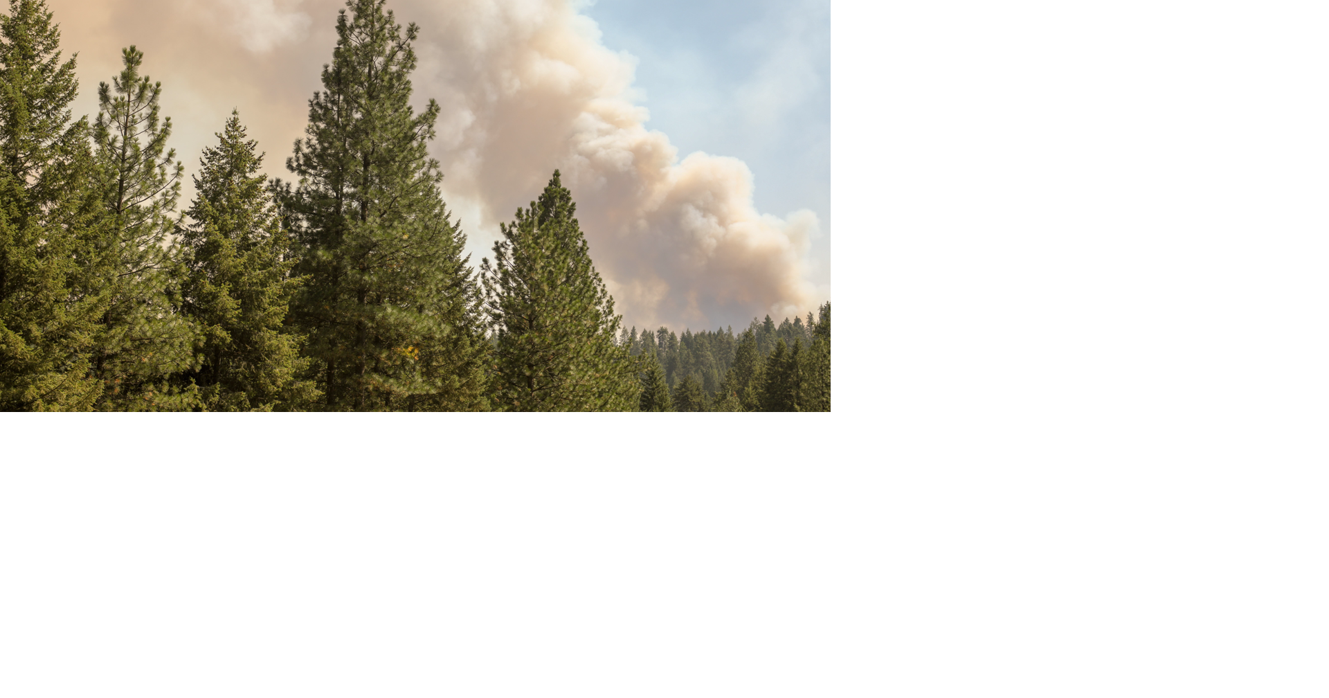 Williams Flats Fire spreads to over 40,000 acres | Wenatchee Valley ...