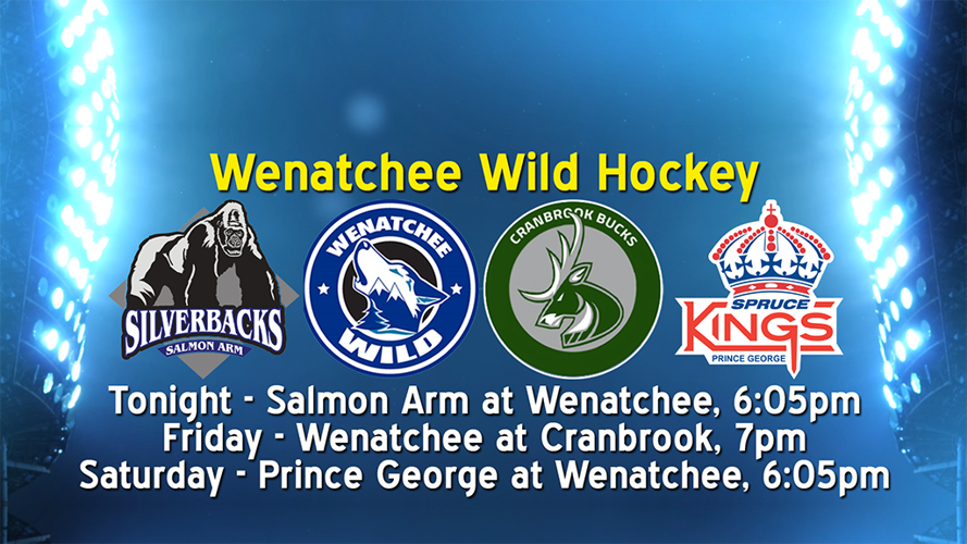 Wild host Silverbacks tonight at TTC | Sports | ncwlife.com