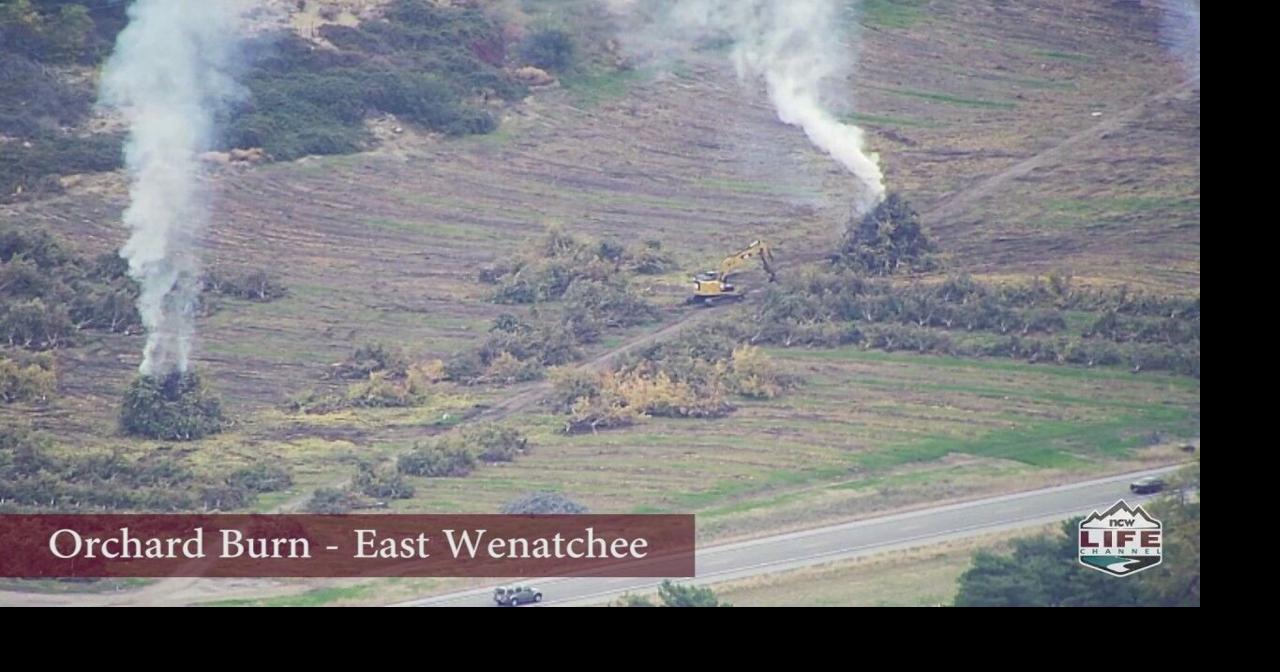 Smoke Is Orchard Burn | Local News | ncwlife.com