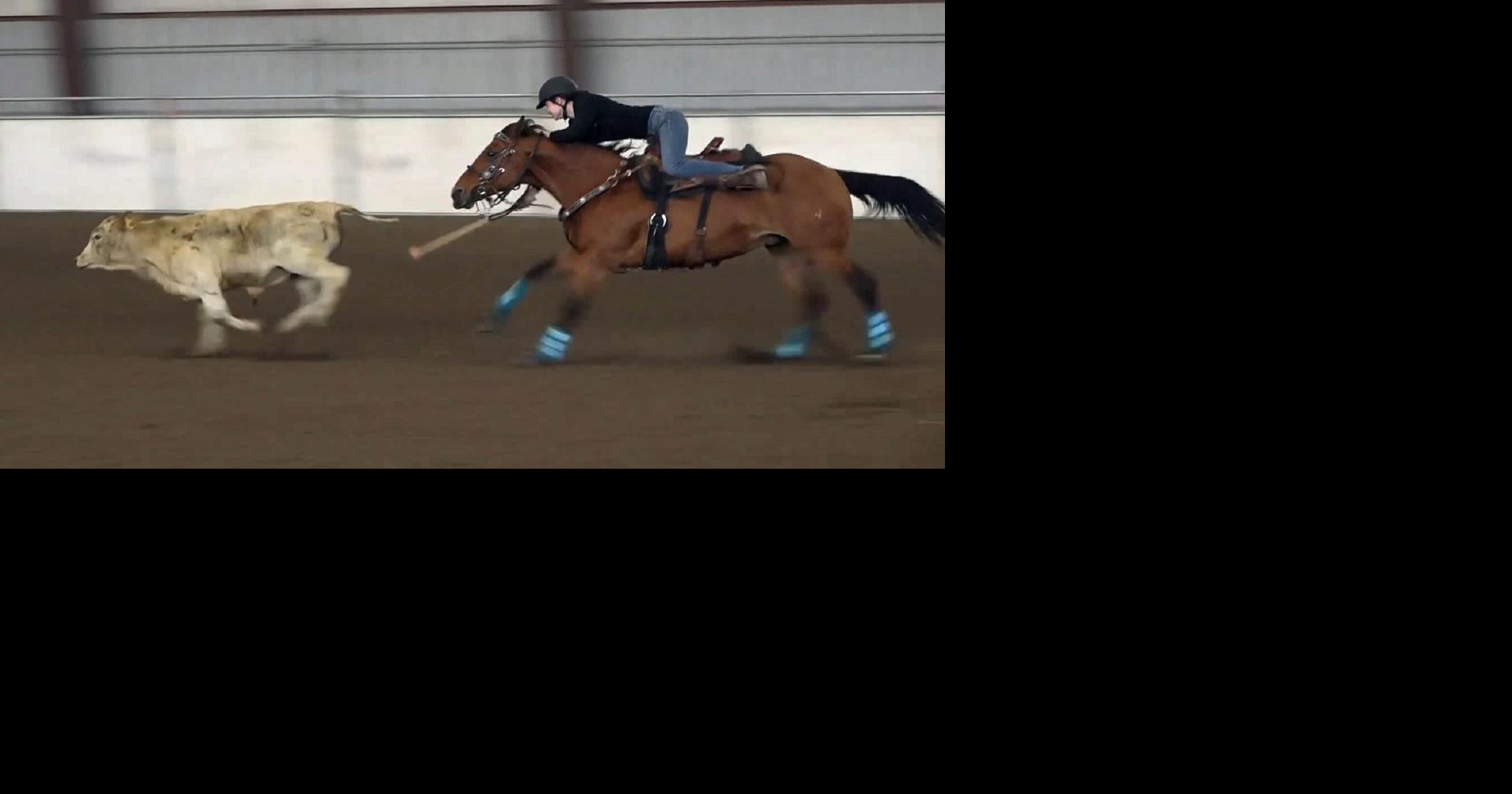 WAHSET State Finals qualifies local equestrians for regional ...