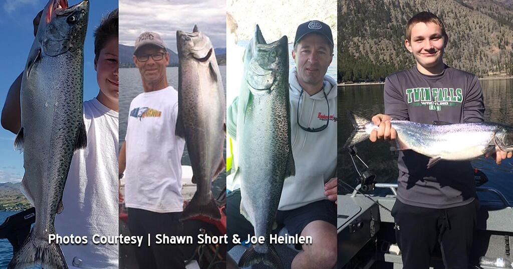 Anglers finding Chinook in Lake Chelan | Local | ncwlife.com
