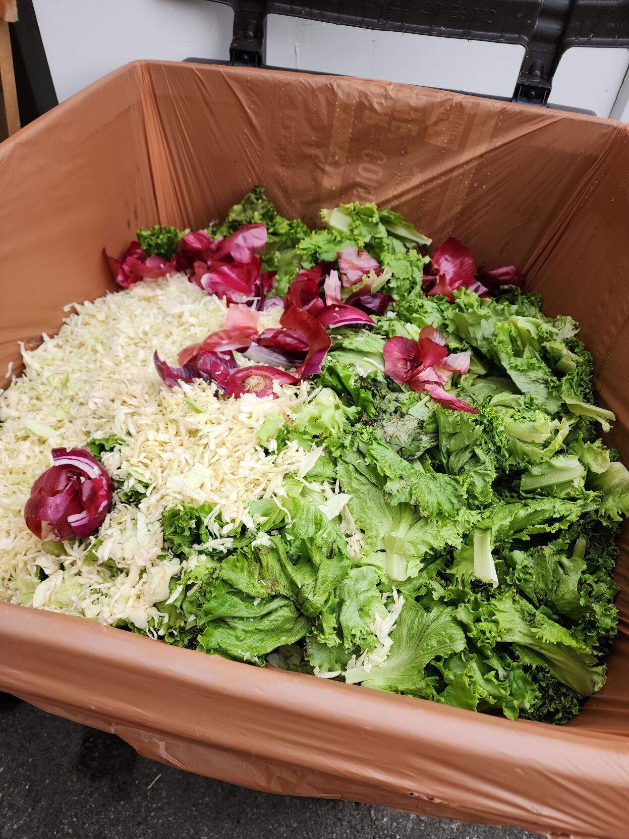 Confluence Health Hospital Central Campus launches new composting ...