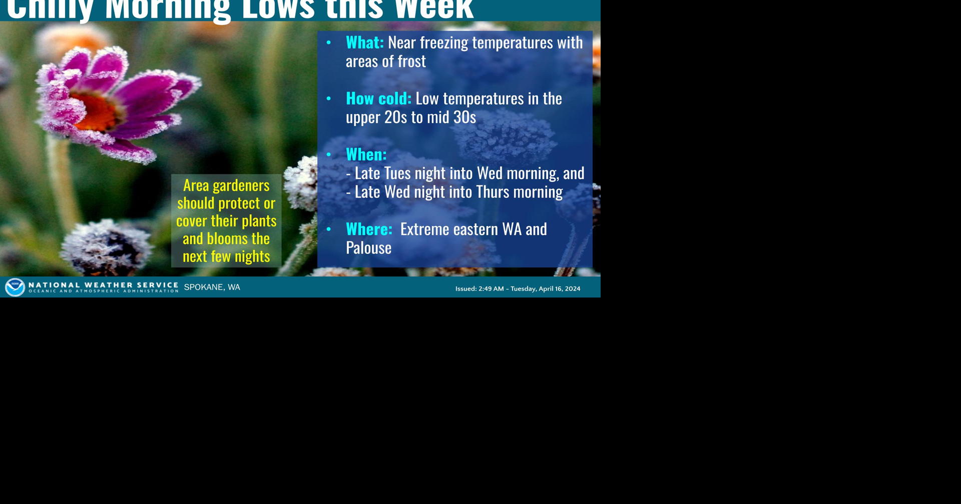 Chilly Morning Low Temperatures | Weather | ncwlife.com