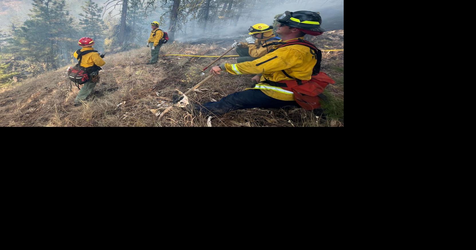 Multiple ground and air crews were able to halt Union Valley fire ...