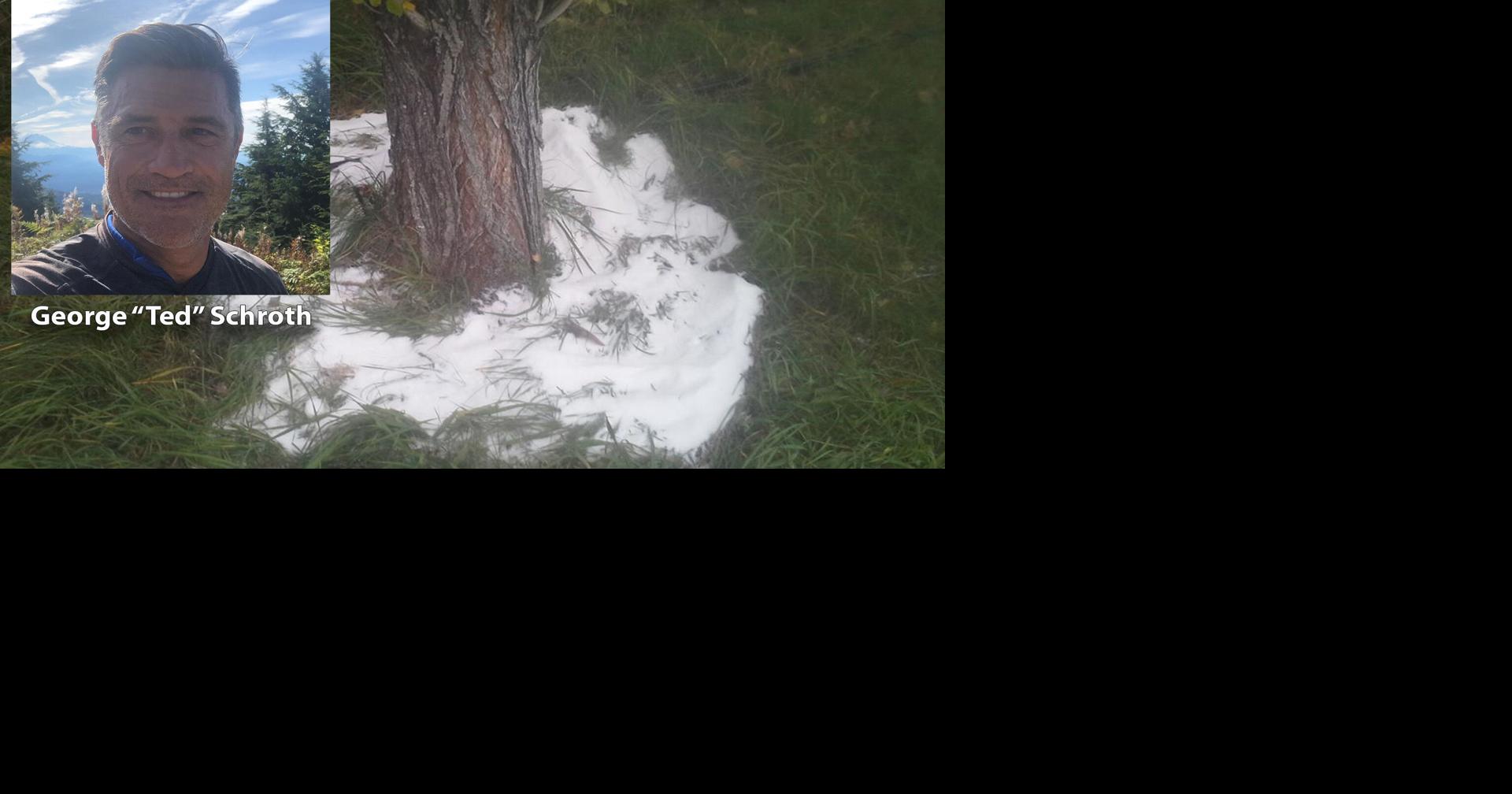 Developer bidding for PUD headquarters salted neighbors' trees in ...