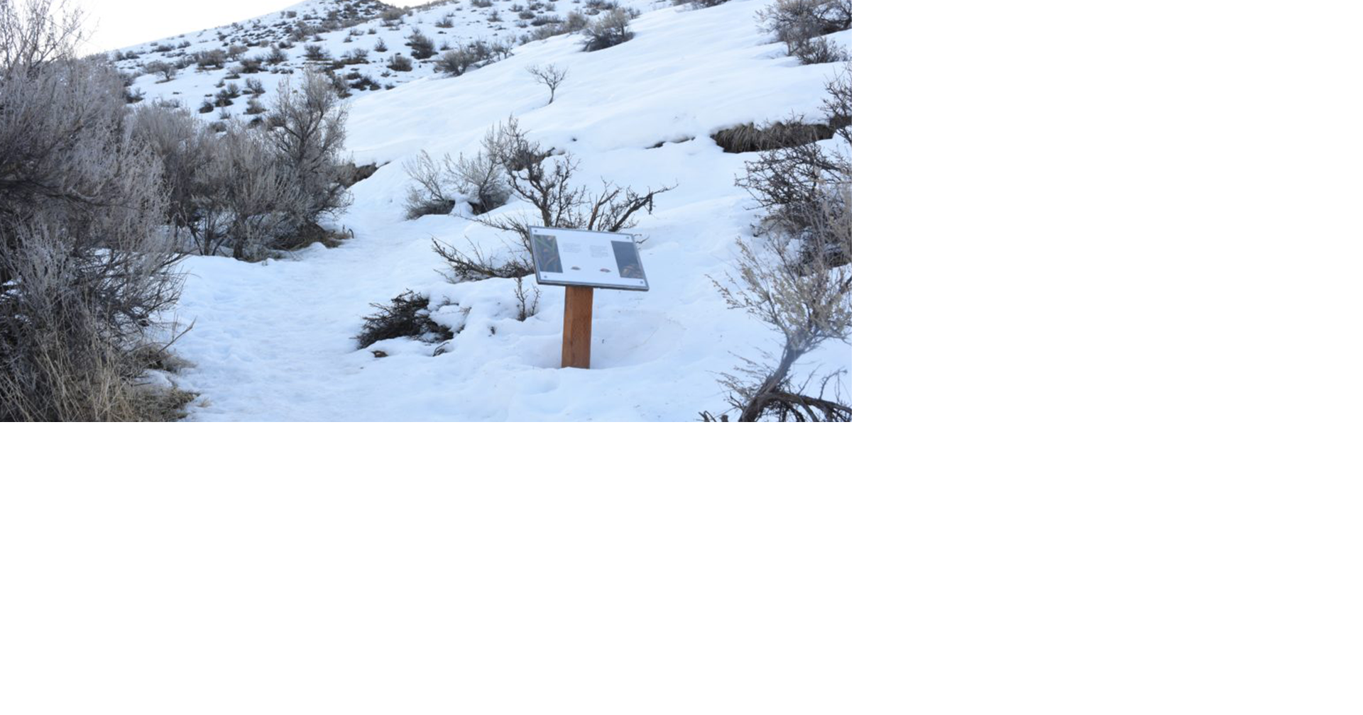 This year, ‘Possum’s Harvest Moon’ is featured on StoryWalk | News ...