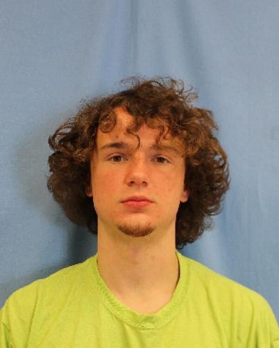 6-month sentence in teen cannabis peddling plea | | ncwlife.com