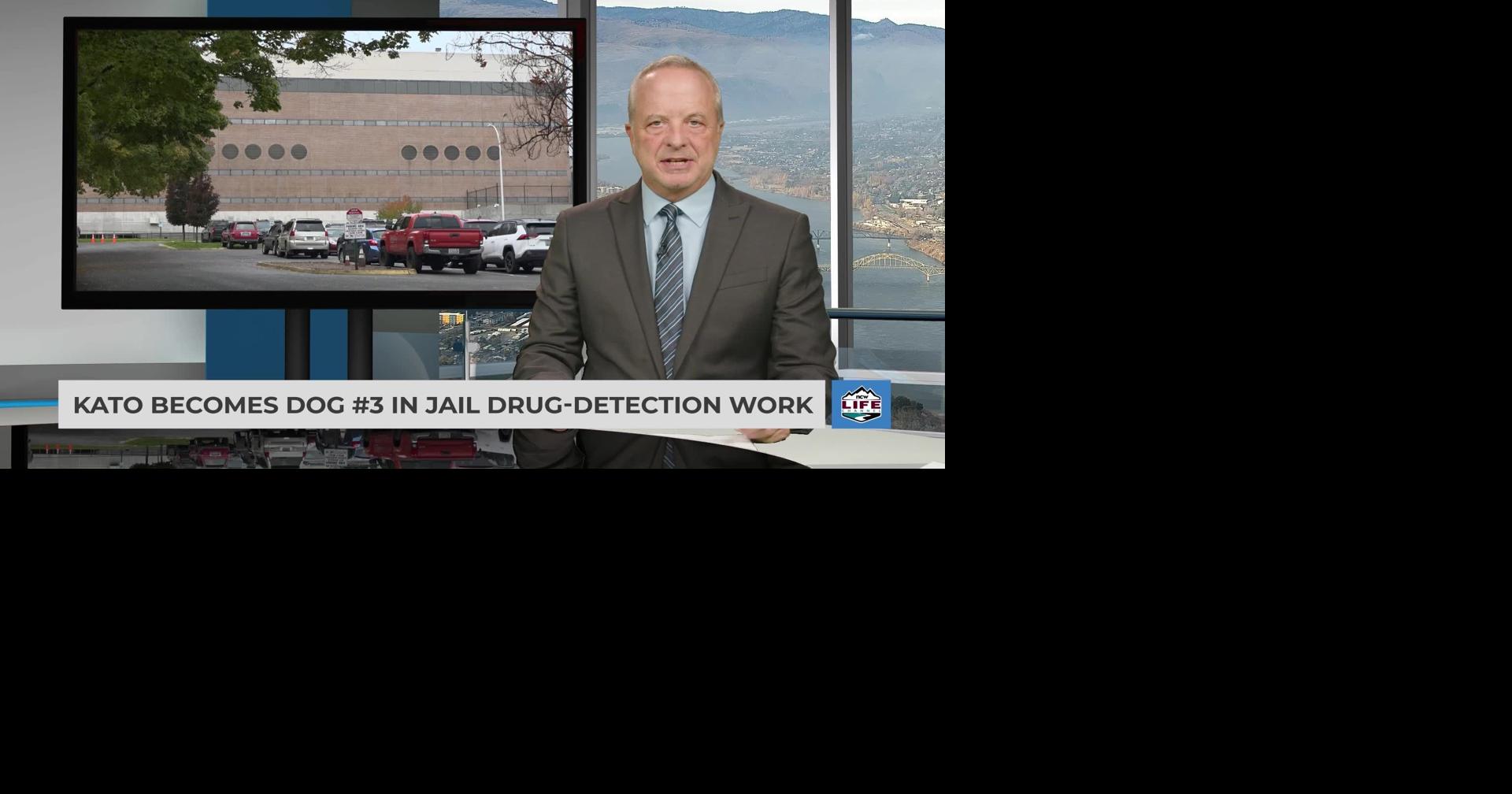 Kato becomes dog #3 in jail drug-detection work | Videos | ncwlife.com