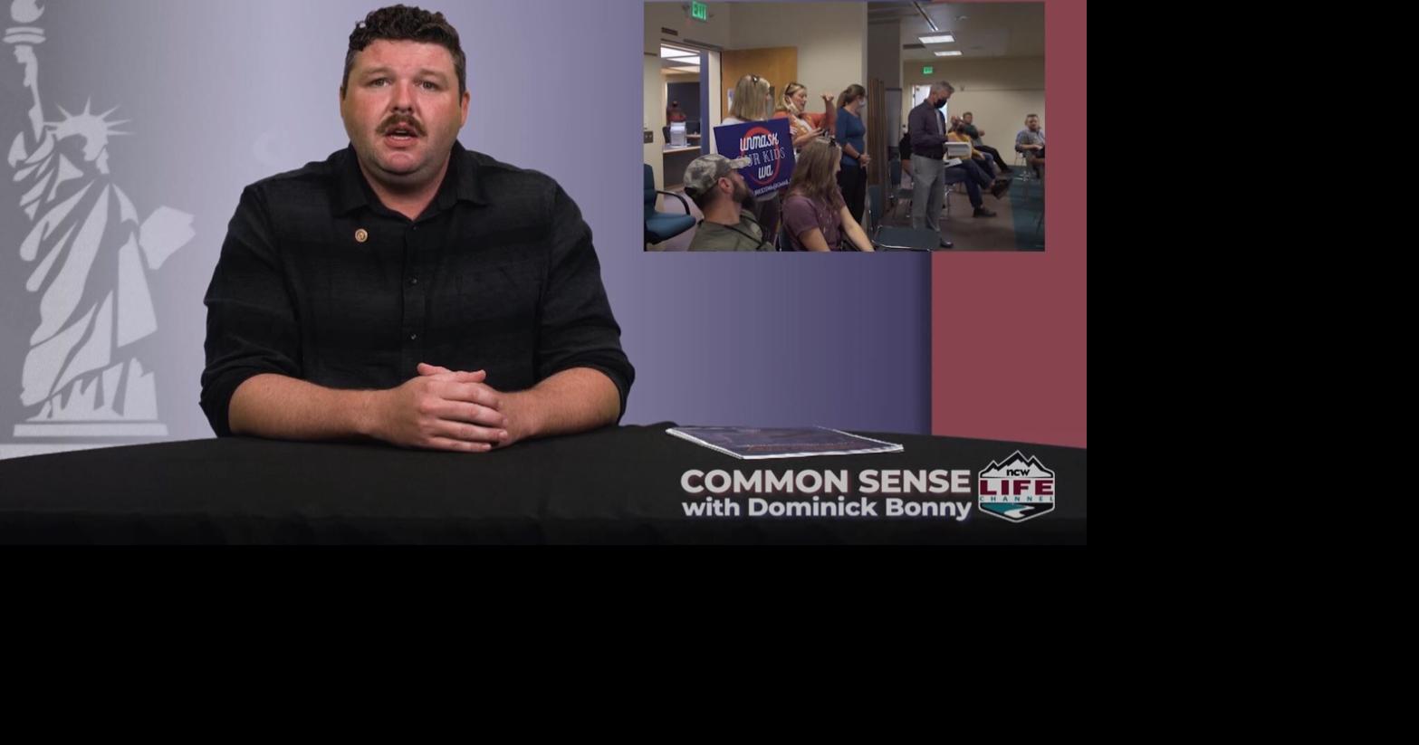 Common Sense with Dominick Bonny – How To Ambush Your School Board ...