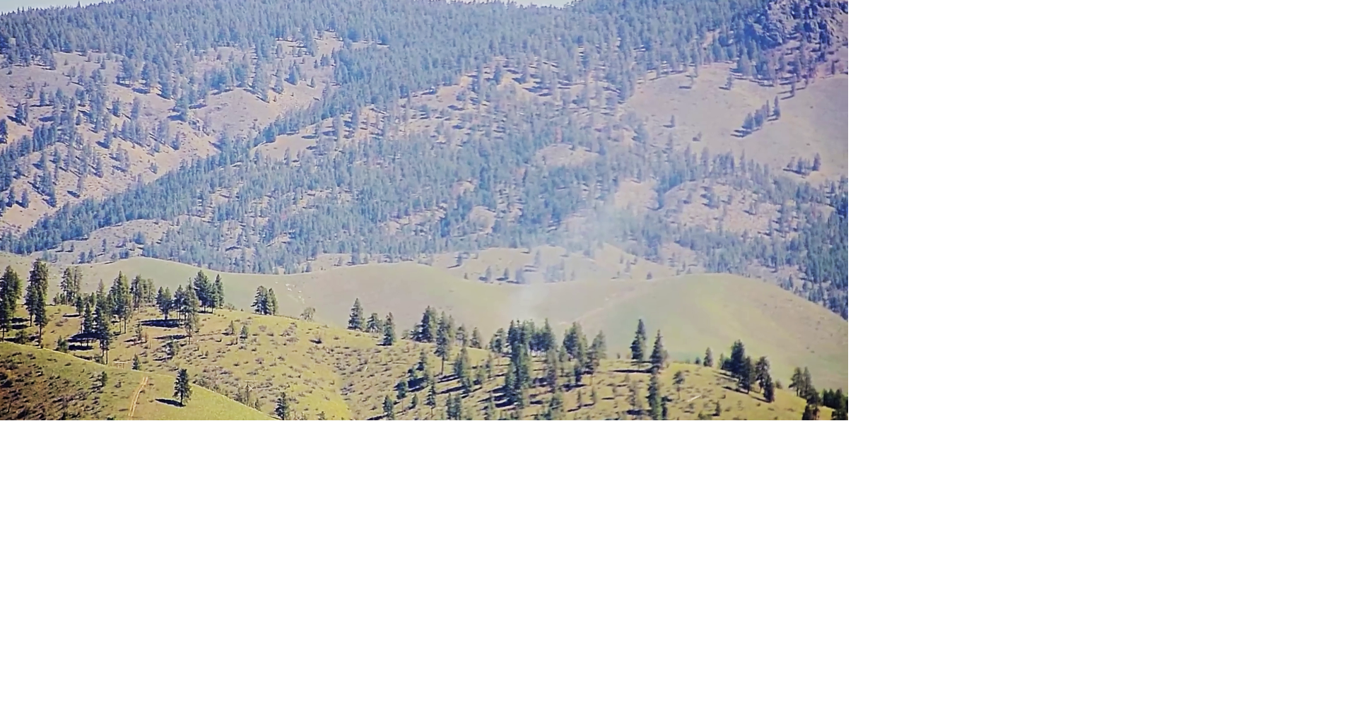 Small brushfire up Nahahum Canyon sparked by campfire remnants | News ...