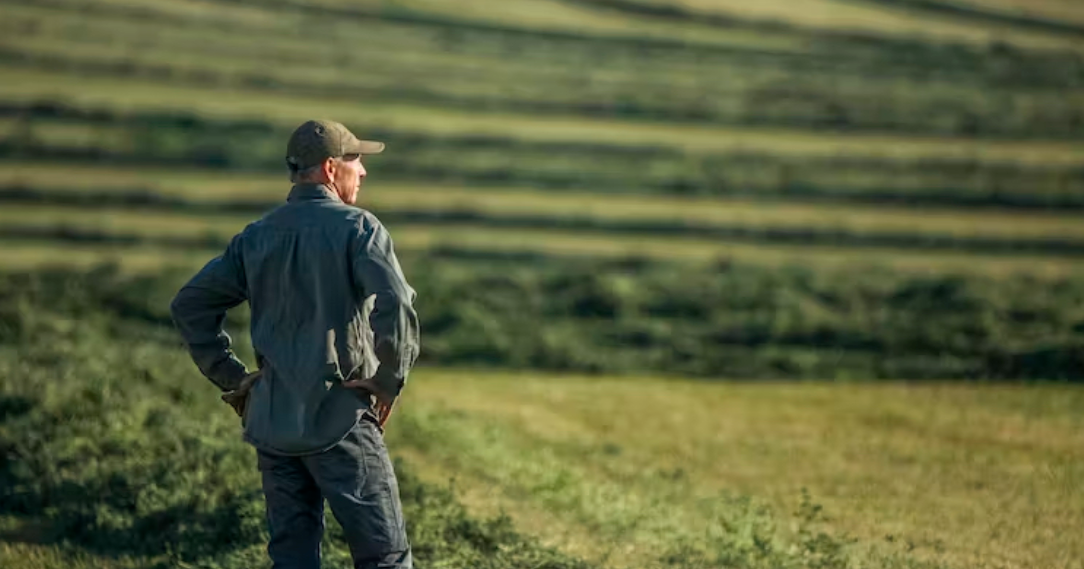 Lawmakers consider permanent funding for helpline for farmers, loggers ...
