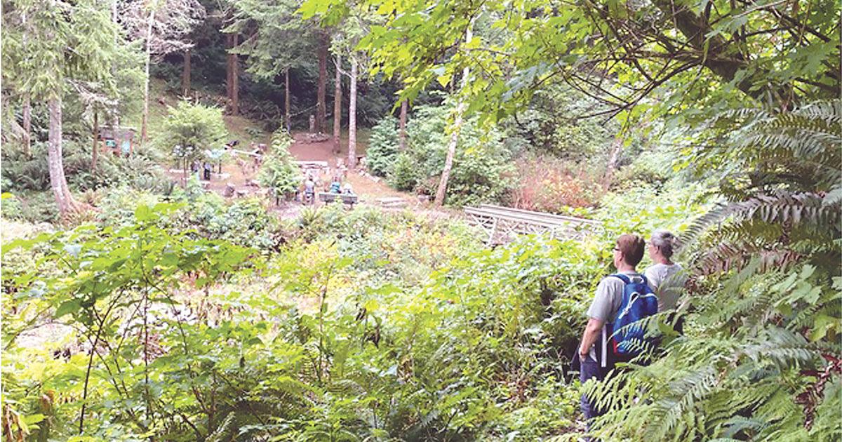 Amanda Trail Suspension Bridge Project moving forward | Community ...