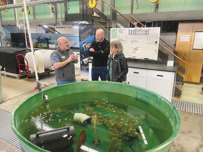 Marine Science Day has something for everyone | Coast Life ...