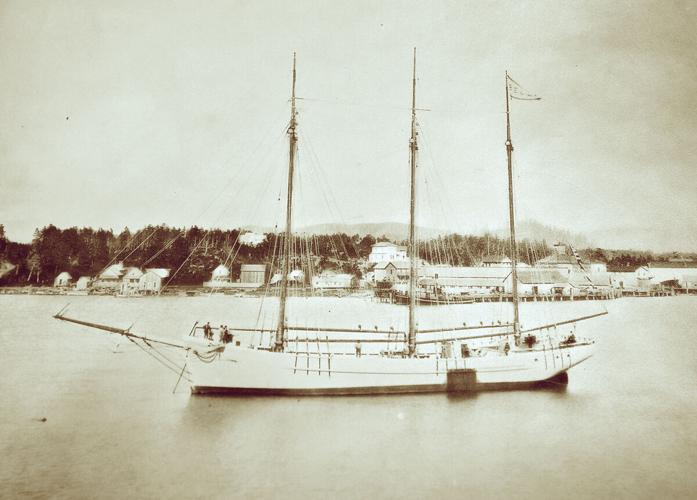 Bones of the Bella | News | newportnewstimes.com