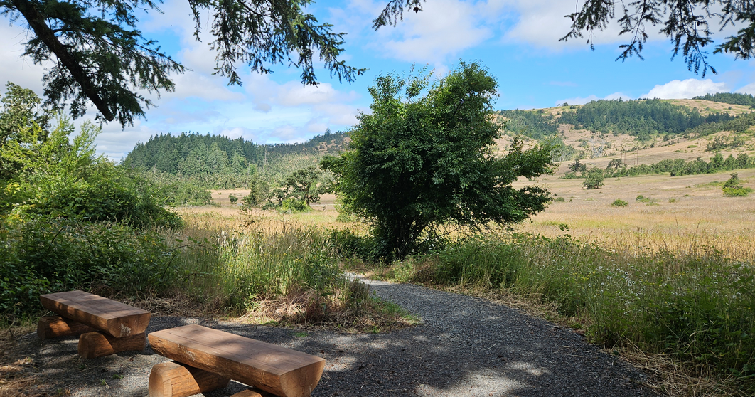 Recreational Trails Program accepting grant applications for trail ...