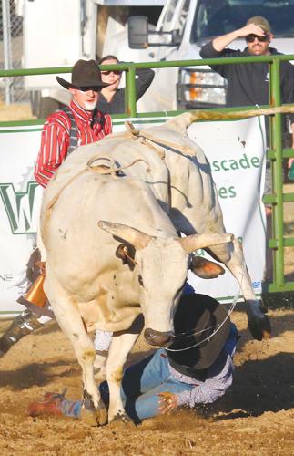 Rodeo brings action to county fair | Sports | newportnewstimes.com
