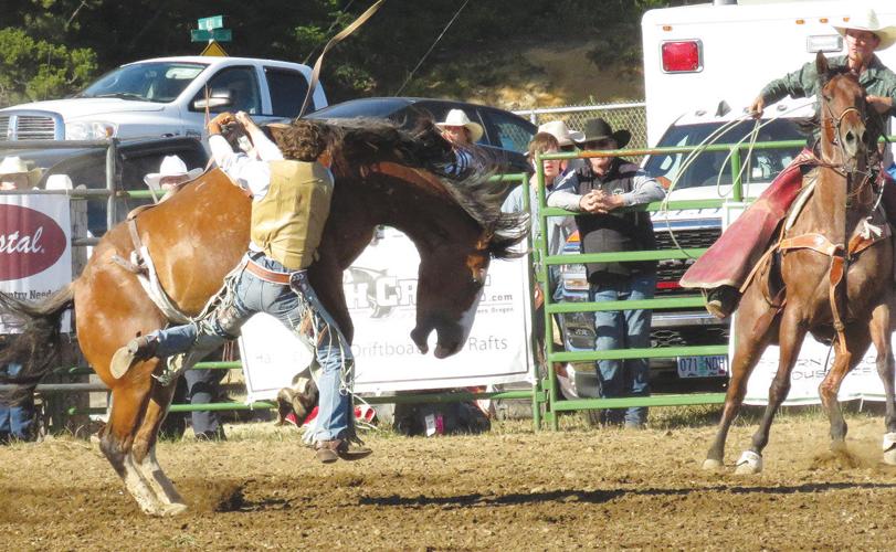 Rodeo brings action to county fair | Sports | newportnewstimes.com