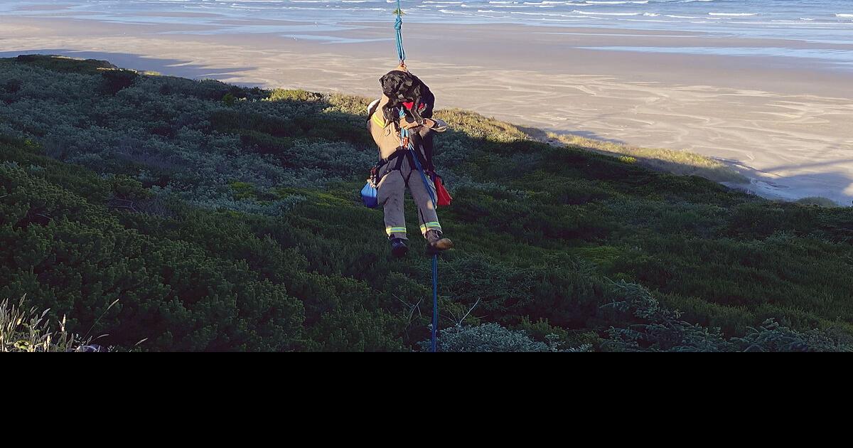 Ropes team rescues dog | News | newportnewstimes.com