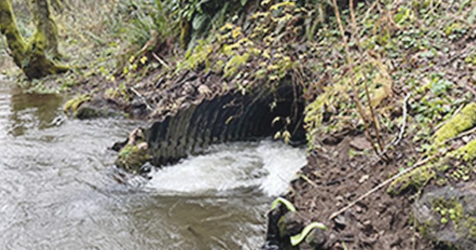 ODOT seeks public input on Butte Creek culvert replacement | News ...