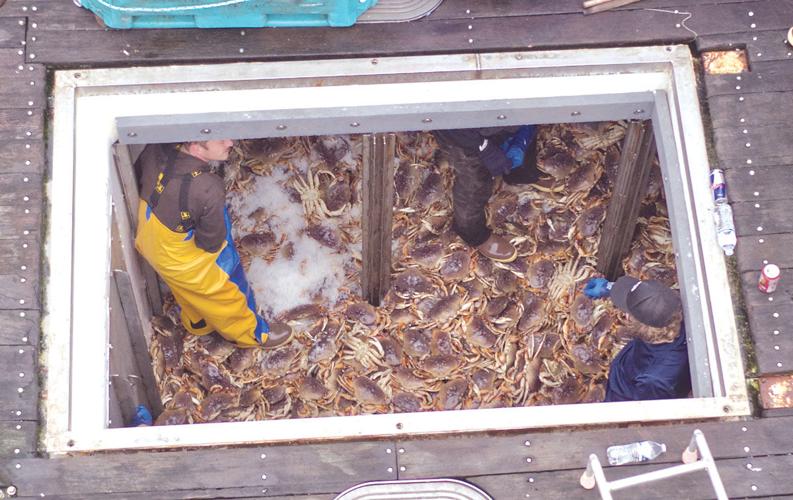 Boats begin offloading crab | News | newportnewstimes.com