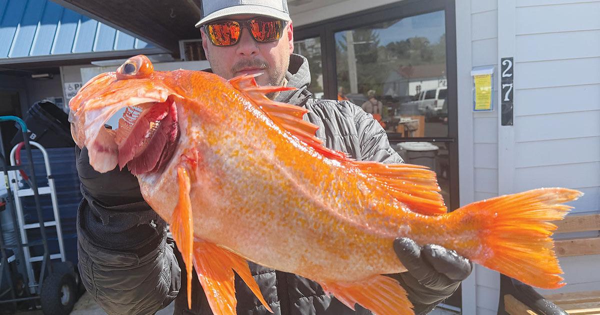 Landing a monster | News | newportnewstimes.com