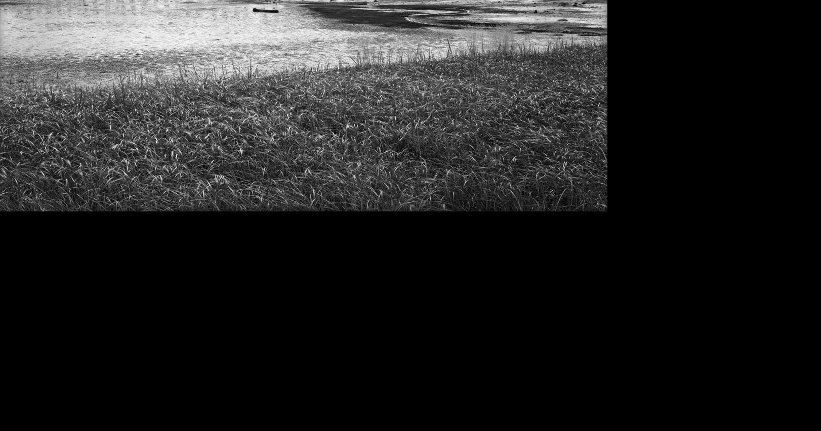 Free panel discussion, ‘Estuaries: Past and Present Connections Between ...