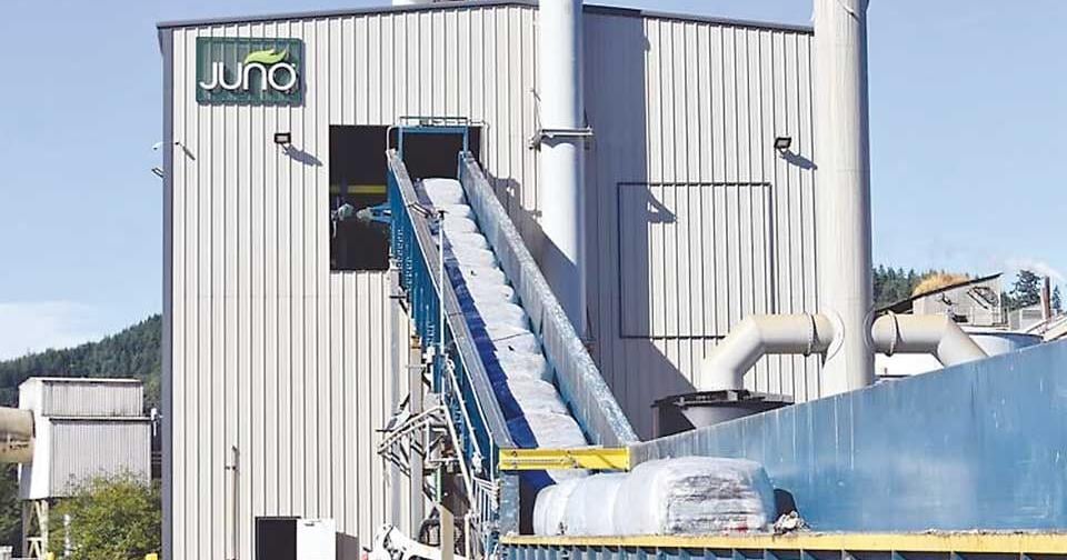 Georgia-Pacific’s Juno facility makes transition | News ...