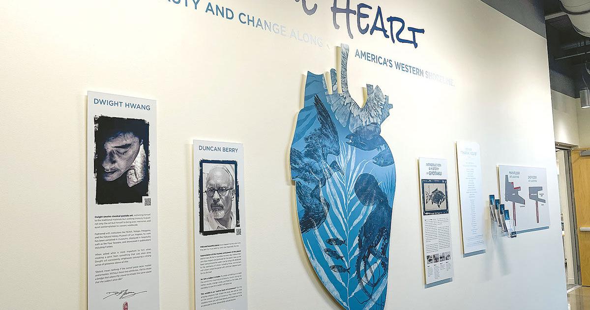 ‘Blue Heart’ exhibit opens at marine science center | Arts ...
