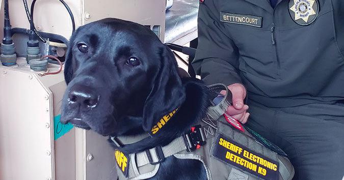 Sheriff’s office welcomes ESD K9 | News | newportnewstimes.com