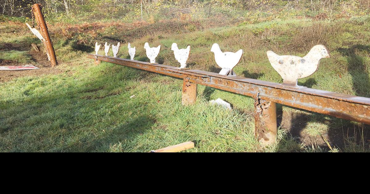 turkey-shoot-targets | | newportnewstimes.com