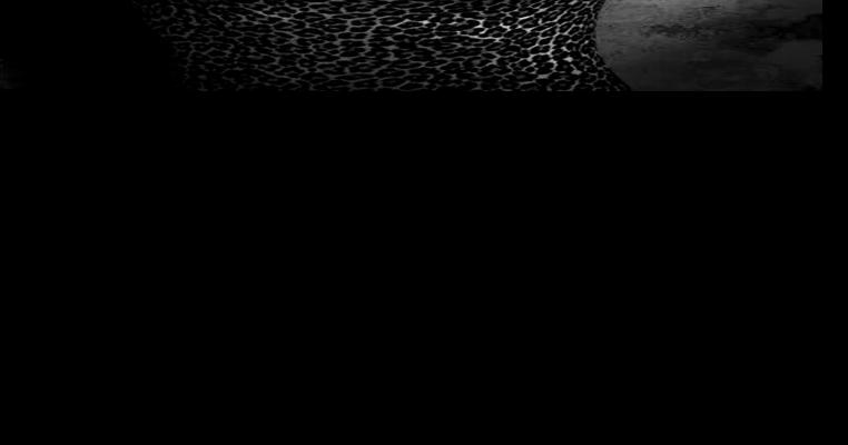 Lisa Lipton named to Newport Symphony post | Arts & Entertainment ...