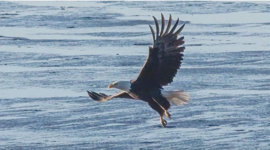 Cascade Head Biosphere Collaborative gets national exposure | News ...