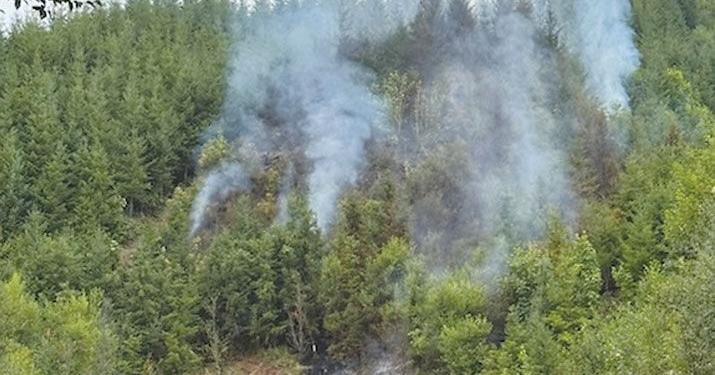 ODF warns of target shooting fire hazards | News | newportnewstimes.com