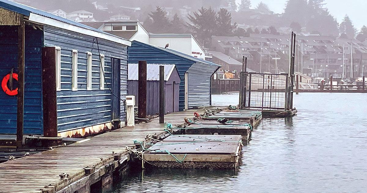 Sea lion docks pledged by Spring Break | News | newportnewstimes.com