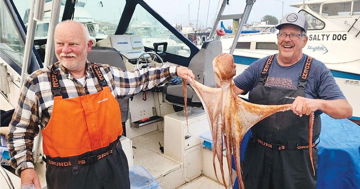 Octopus Peanut Satay | Food | newportnewstimes.com