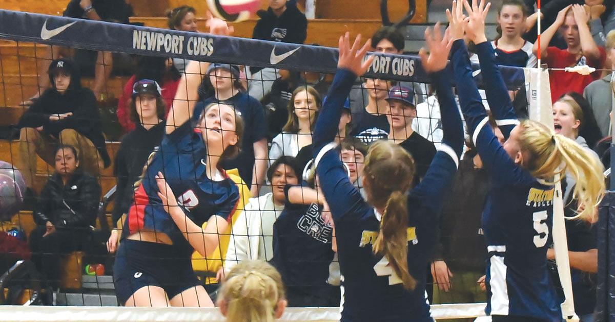 NHS’ Paranto, Smallwood receive all-league mention | Sports ...