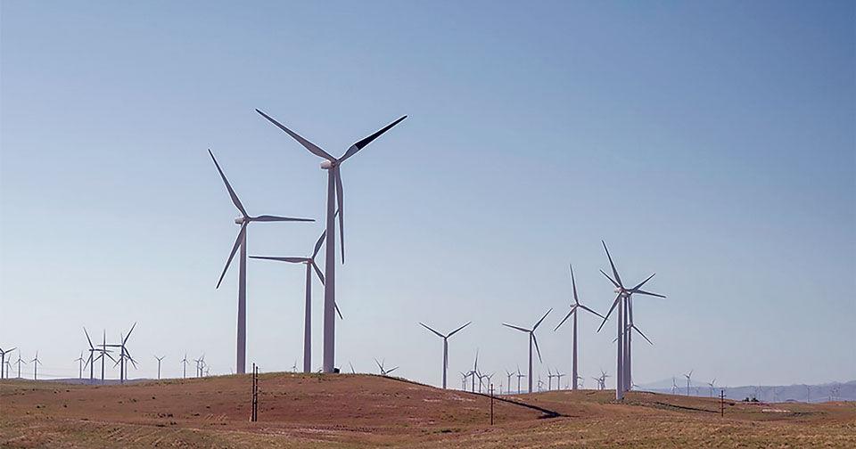 Scientists studying impact of painting wind turbine blade black to ...