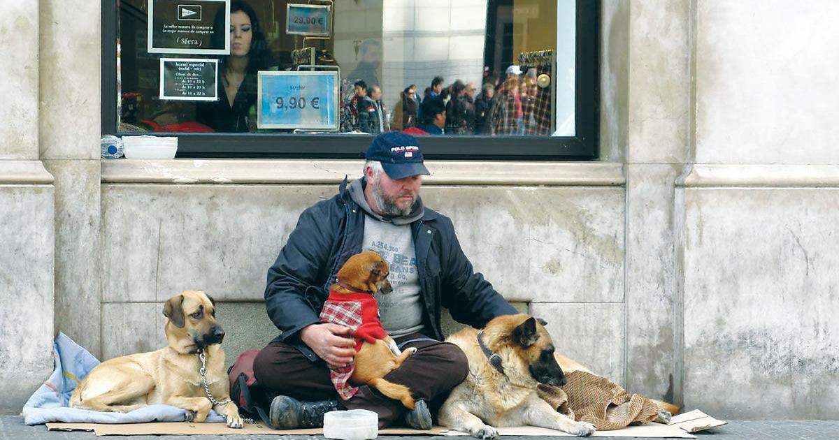Pet Improvement: Homeless people, homeless pets | Coast Life ...