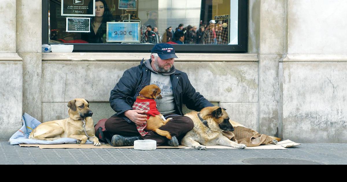 Pet Improvement: Homeless people, homeless pets | Coast Life ...