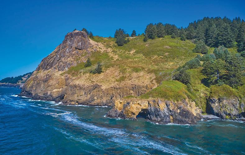 A year in review - March & April 2023 | News | newportnewstimes.com