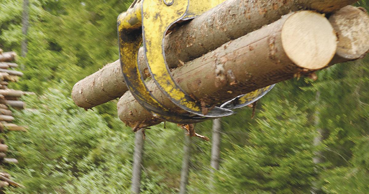 Counties share $27.7M in BLM timber revenue | News | newportnewstimes.com