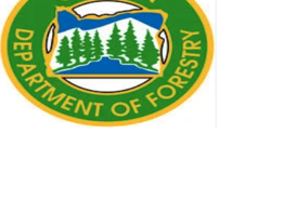 News | newportnewstimes.com